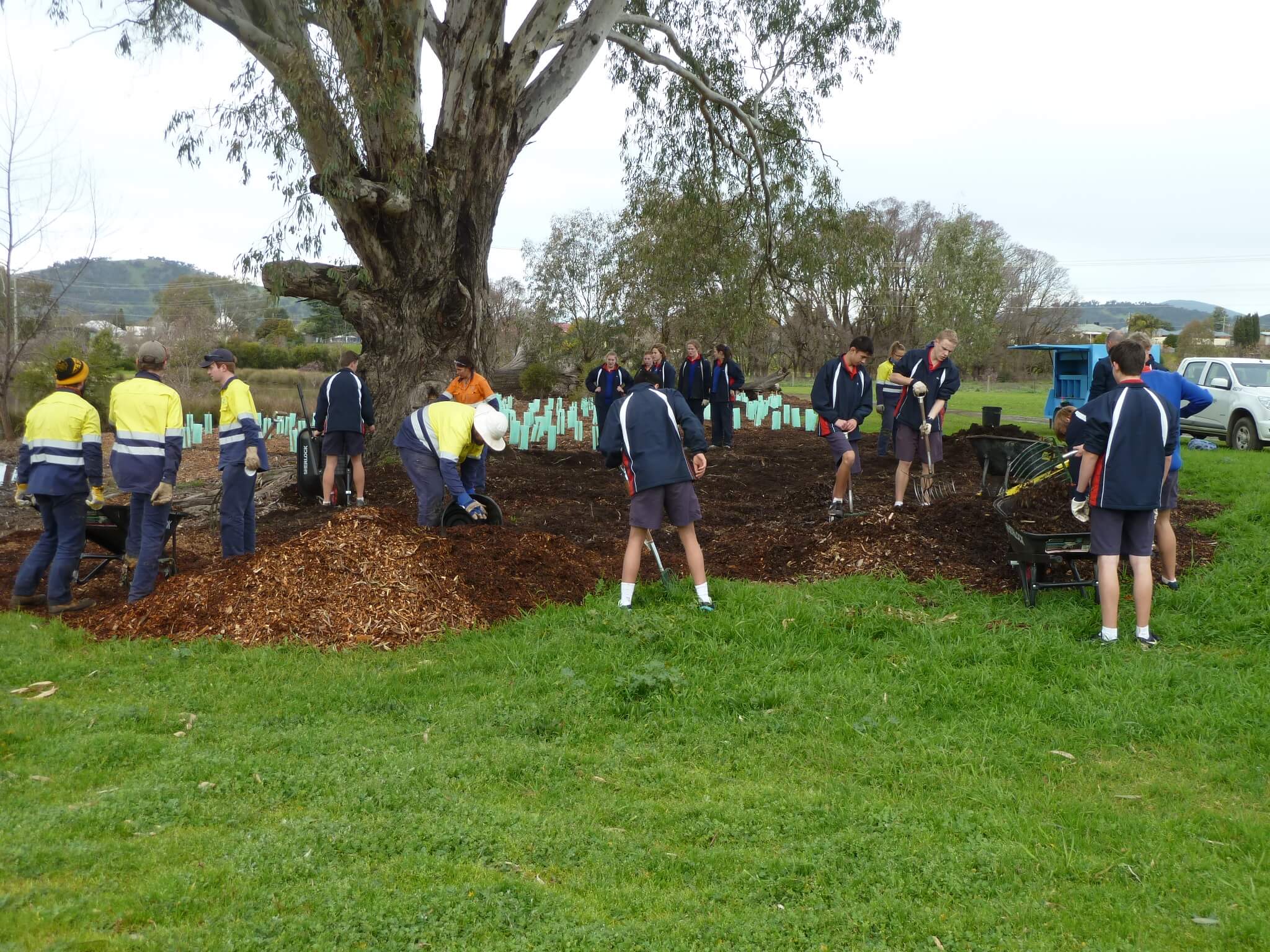 National Tree Day - Wodonga City Council – Park Lane Nursery