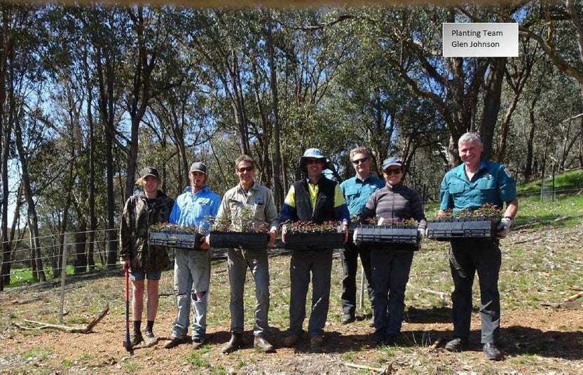 Narrow-leafed Wattle Project - Department of Environment, Land, Water ...