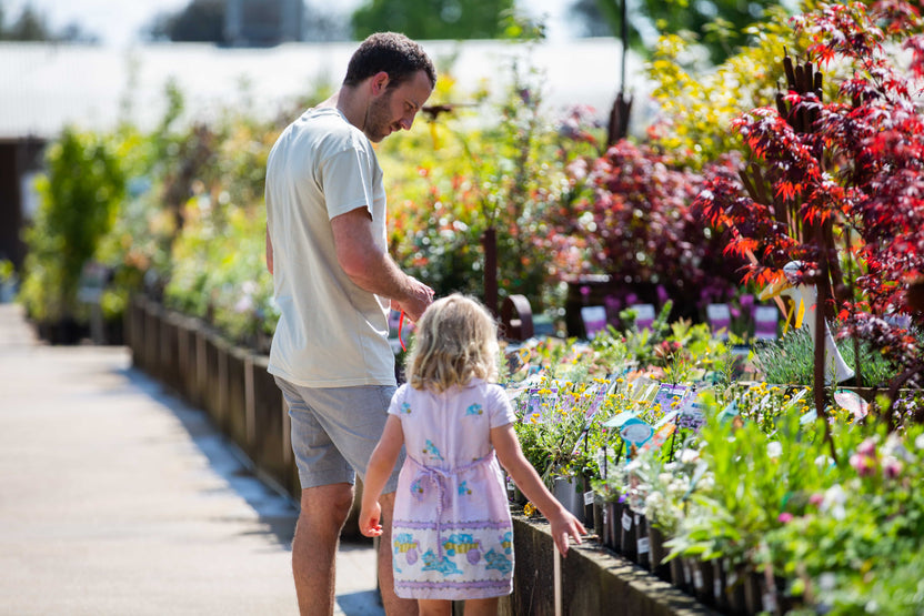 Park Lane Nursery | Wangaratta | Plants, Pots, Garden Supplies & More