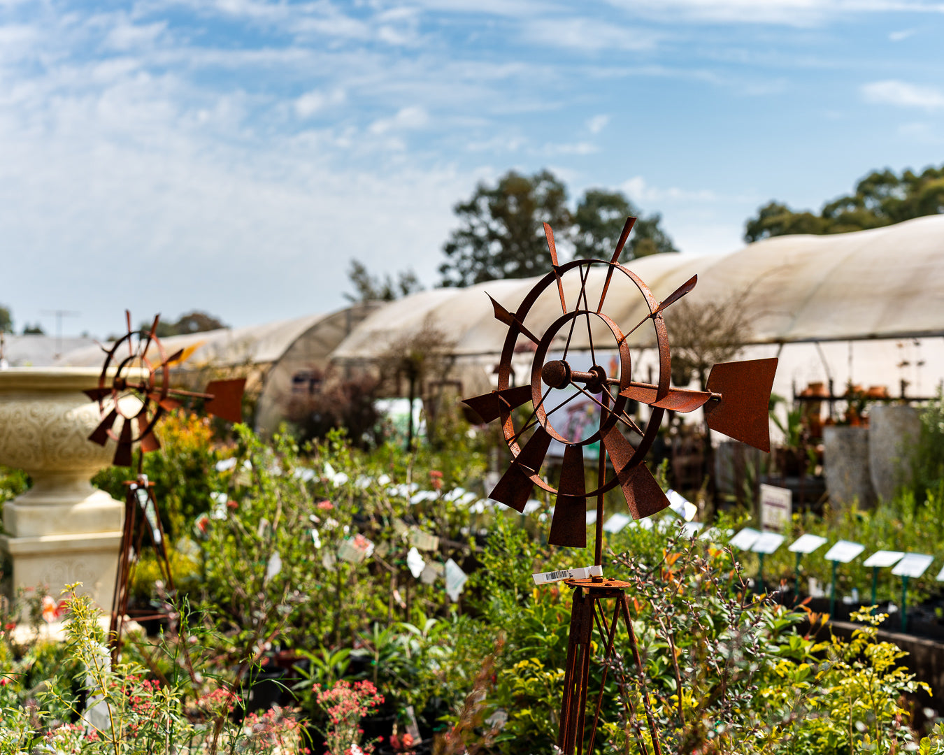 About – Park Lane Nursery